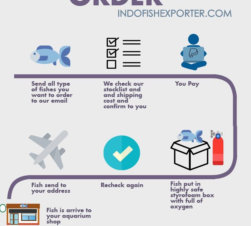 WHOLESALE INDONESIA TROPICAL FISH / AQUARIUM FISH / RARE & EXOTIC FISH ...