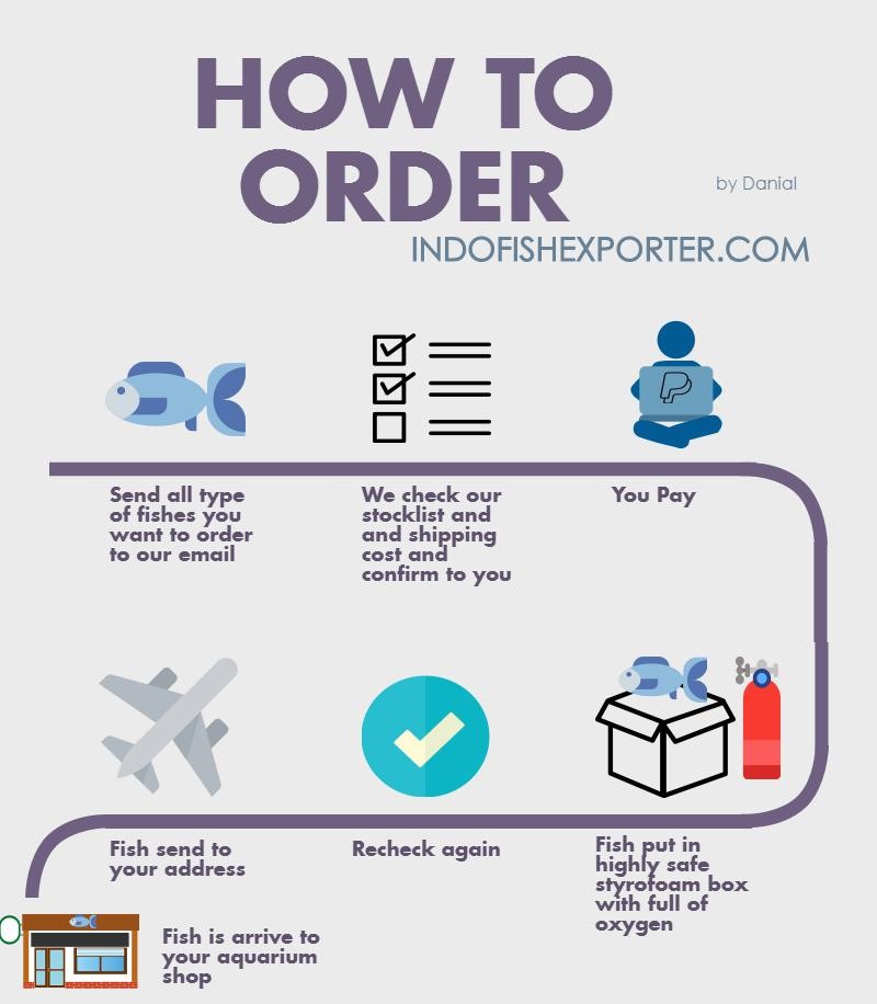 How to Order | WHOLESALE INDONESIA TROPICAL FISH / AQUARIUM FISH / RARE ...
