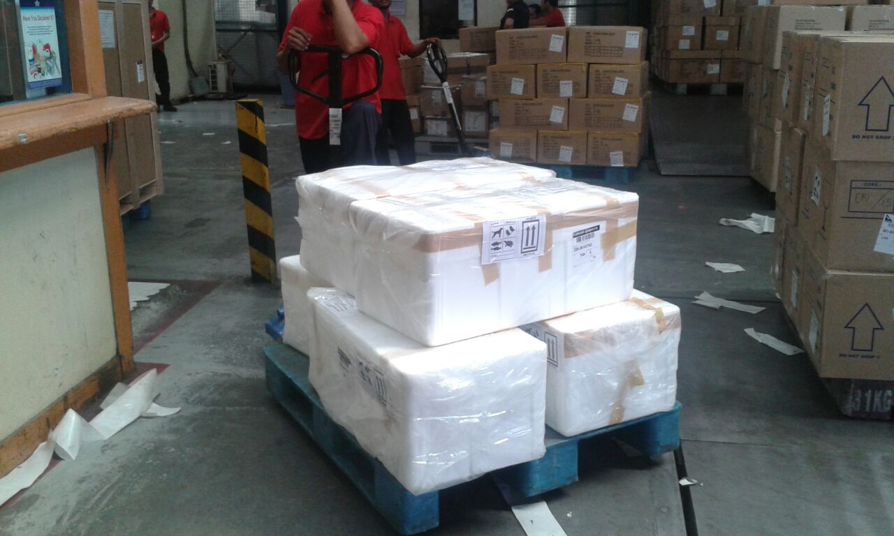 Packing Details | WHOLESALE INDONESIA TROPICAL FISH / AQUARIUM FISH ...