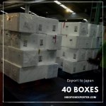 Export to JAPAN on April 2018 | WHOLESALE INDONESIA TROPICAL FISH ...